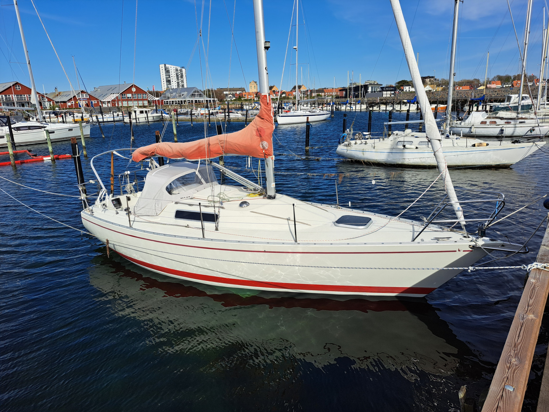 Albin Cumulus | Skipperi